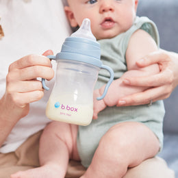 Bottle Feeding Accessories – b.box AU