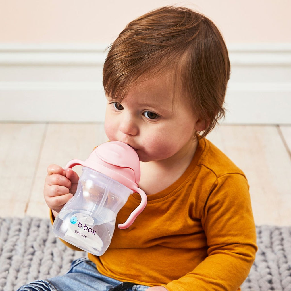 gelato sippy cup - blush – b.box – b.box for kids